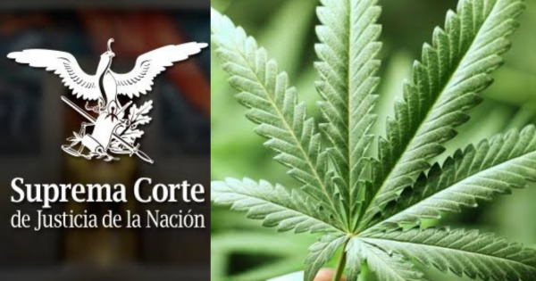 La Dosis - Suprema Corte de Justicia ampara a empresa para uso industrial de la cannabis